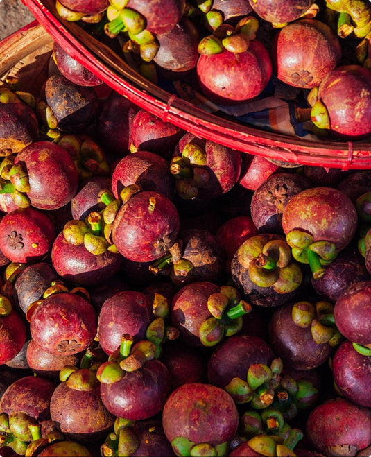 Xanthones | Benefits, What They Are, Where to Get Them – Healthmax Care