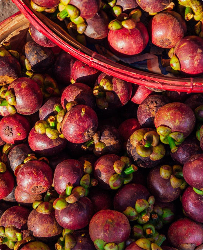 Xanthones | Benefits, What They Are, Where to Get Them – Healthmax Care